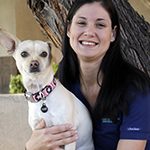 Making a Pet Cancer Treatment Decision | PetCure Oncology