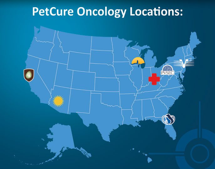 1000th Pet Treated for Cancer | PetCure Oncology